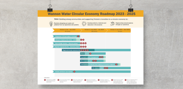 A Roadmap to Circularity for Wannon Water – ThinkPlaceX
